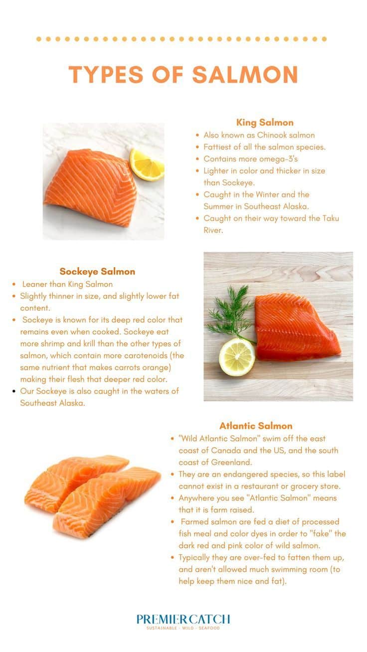 How to Salt Salmon? Easy Steps for Perfect Flavor Every Time